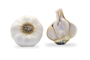 Our Garlic – The Garlic Company