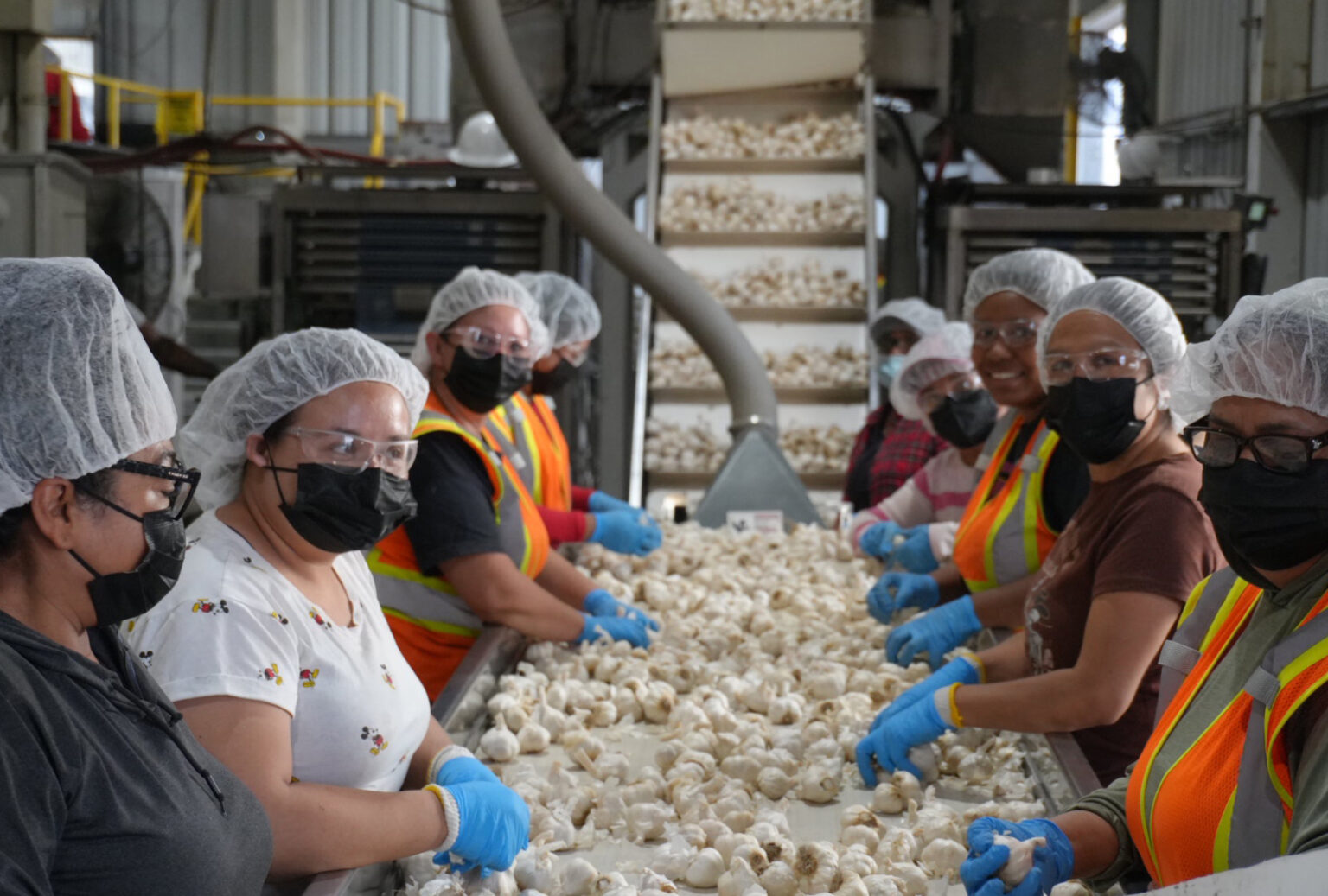 Careers – The Garlic Company